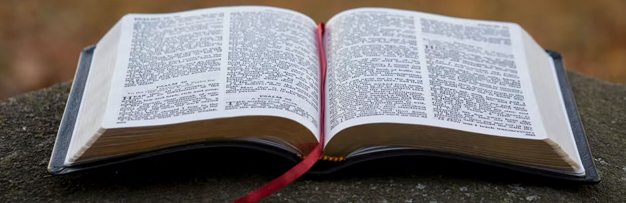 Using Scripture to Interpret Scripture - TFM Church Without Walls